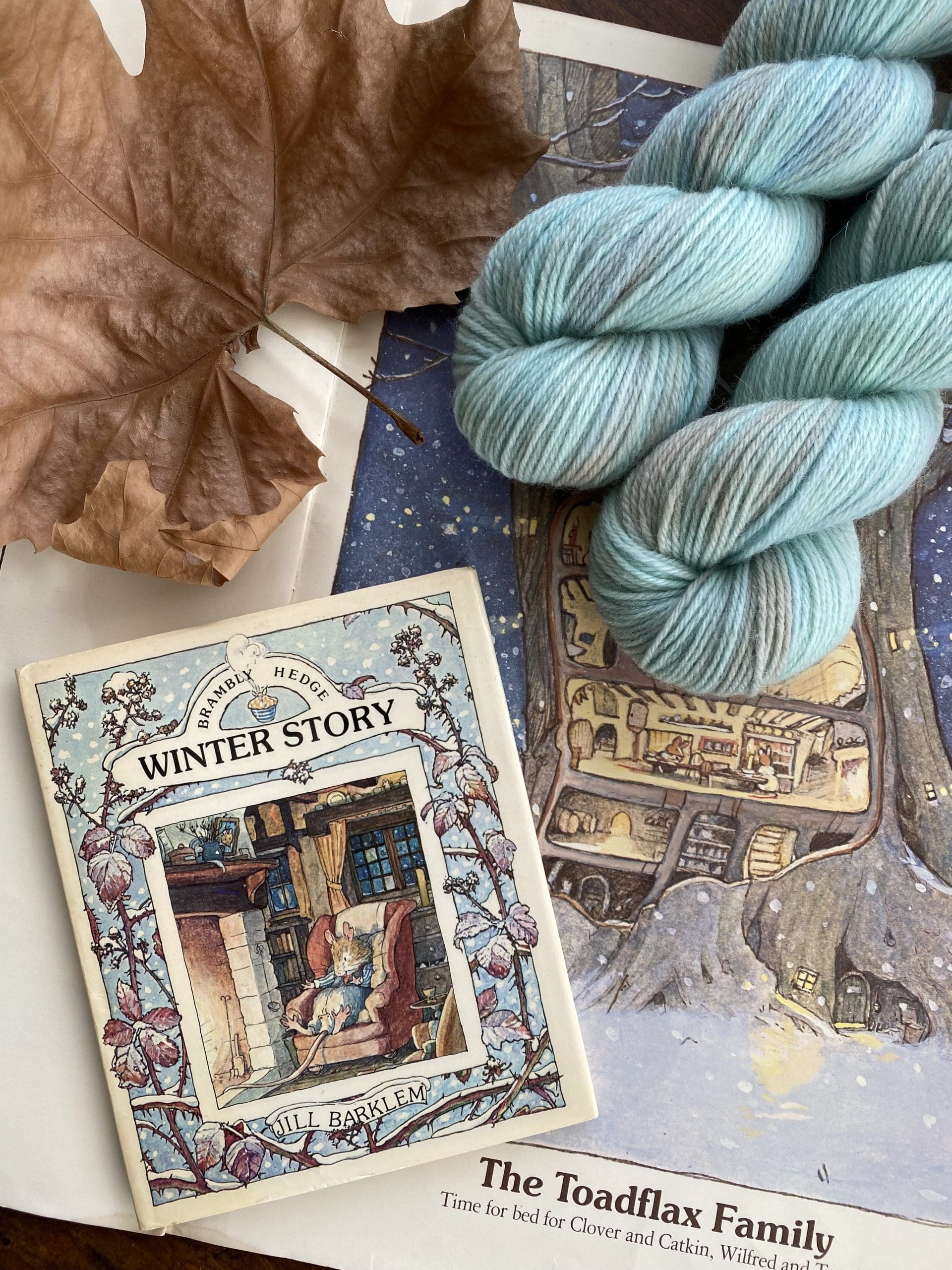 Brambly Hedge Winter Story Binding Box - Circus Tonic Handmade