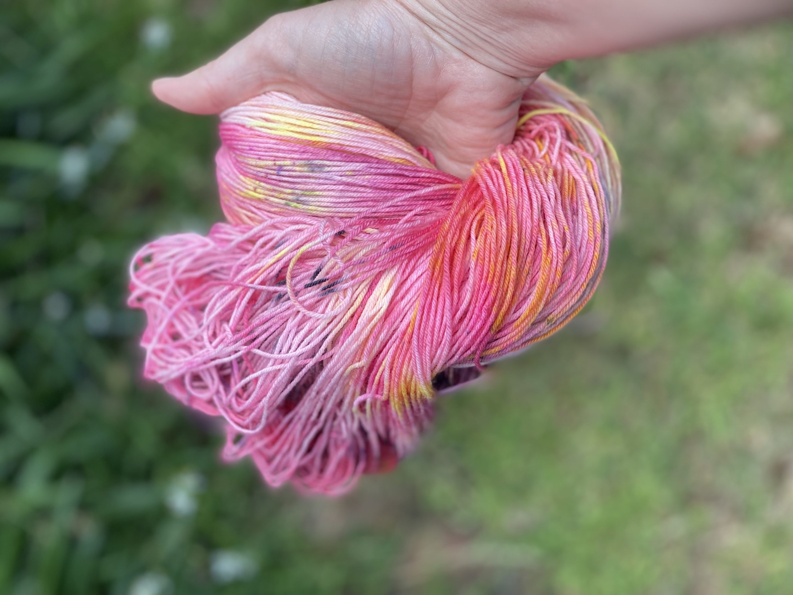 Pandemonium Pot C Sock Set - Circus Tonic Handmade