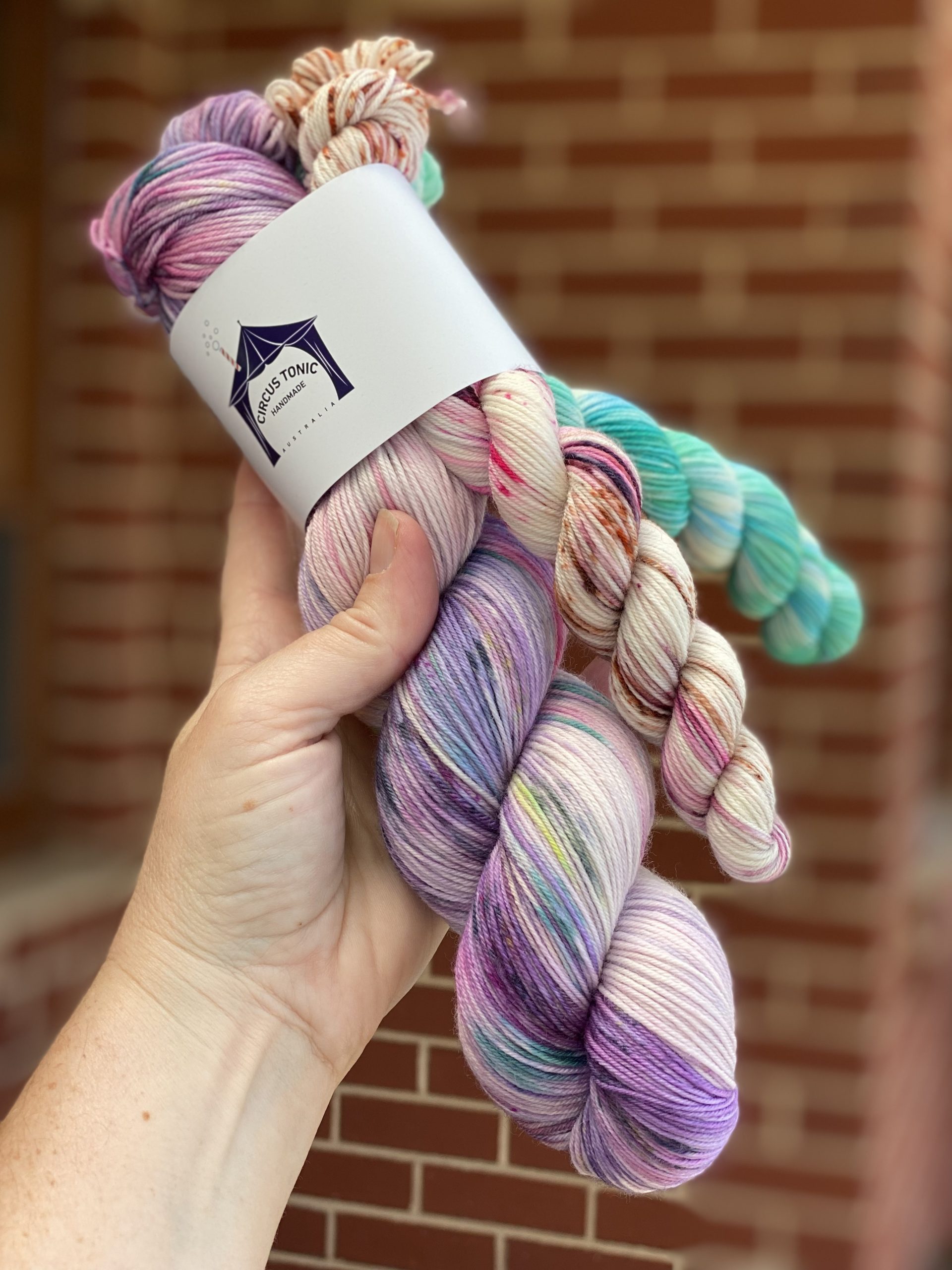 Pandemonium Pot E Sock Set - Circus Tonic Handmade