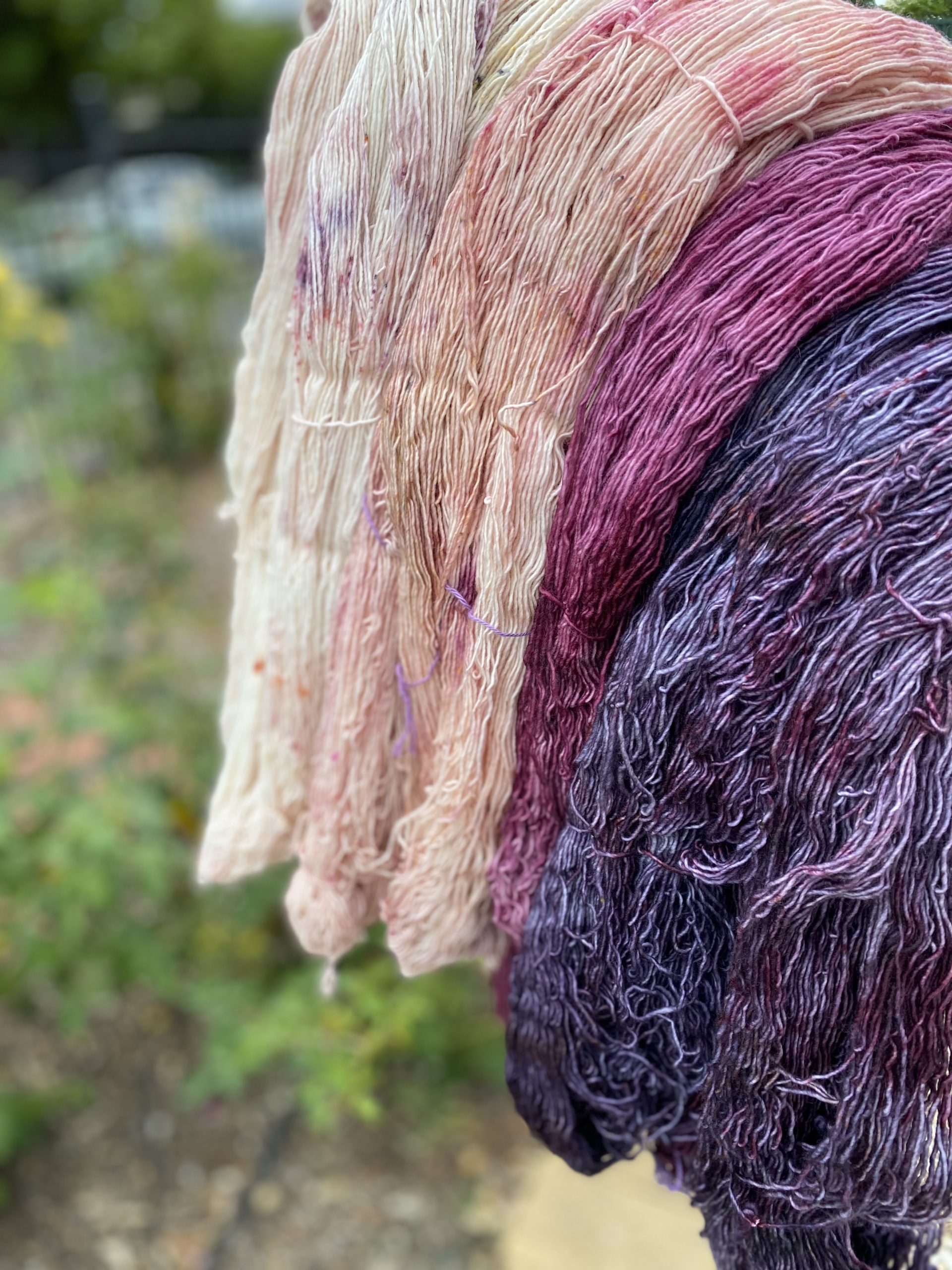 Curious Handmade 2024 MKAL 4 Skein Set Thesis - Circus Tonic Handmade