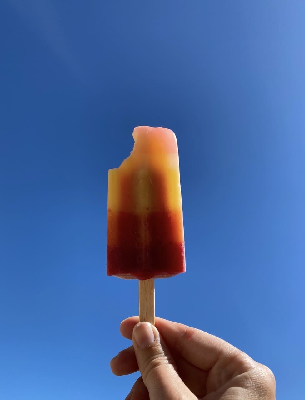 Summer Garden Sun Sock Set - Circus Tonic Handmade