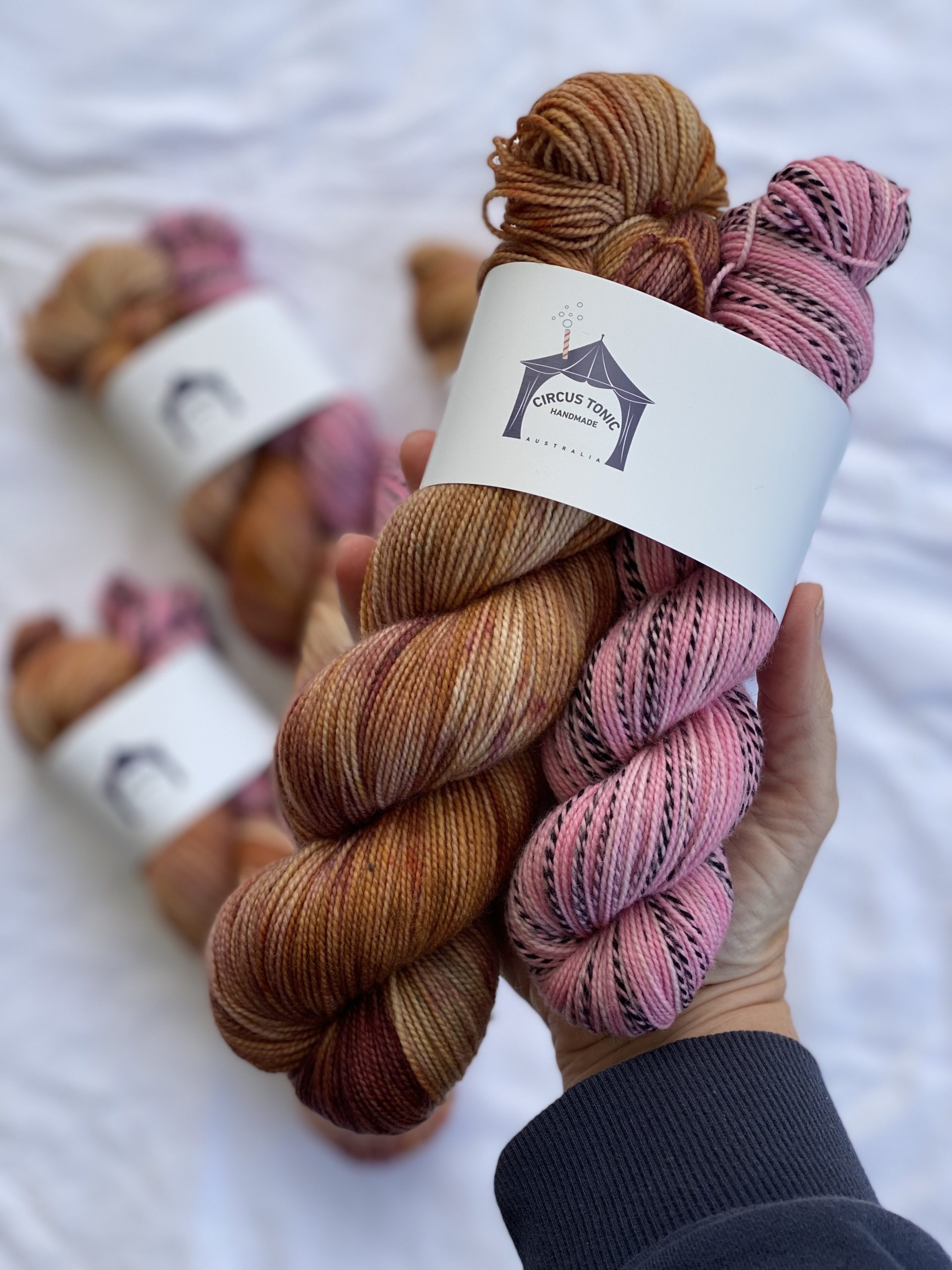 Cassin's Finch Sock Set - Circus Tonic Handmade