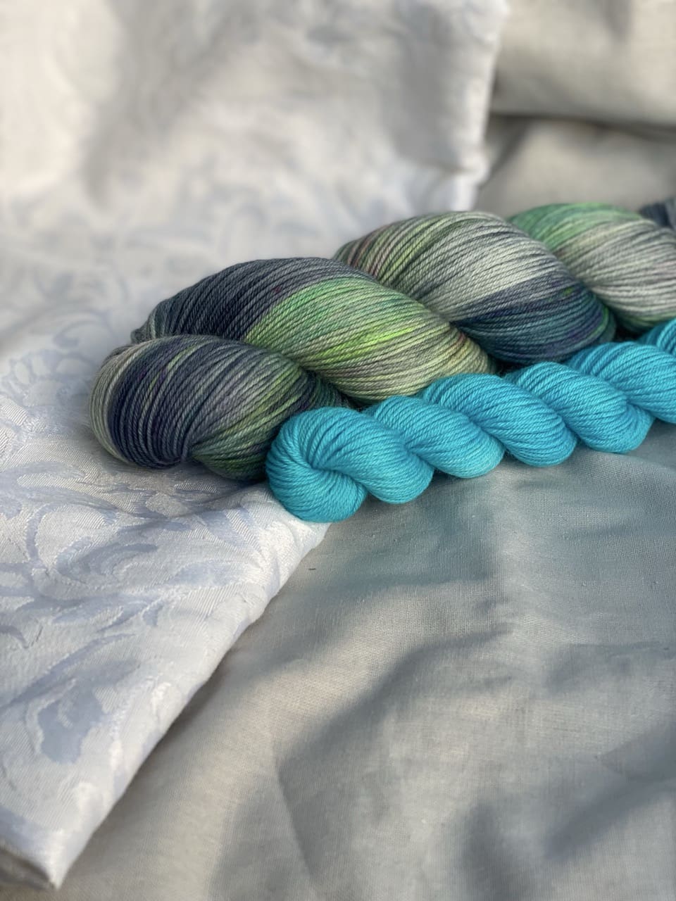 Golden Shouldered Parrot Sock Set - Circus Tonic Handmade