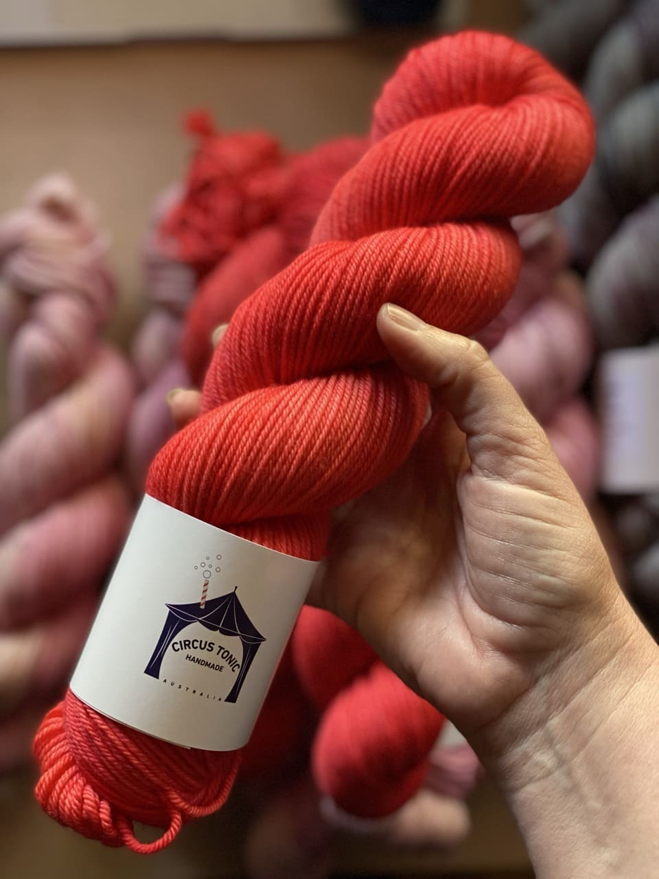 Solanum Pageant DK - Circus Tonic Handmade